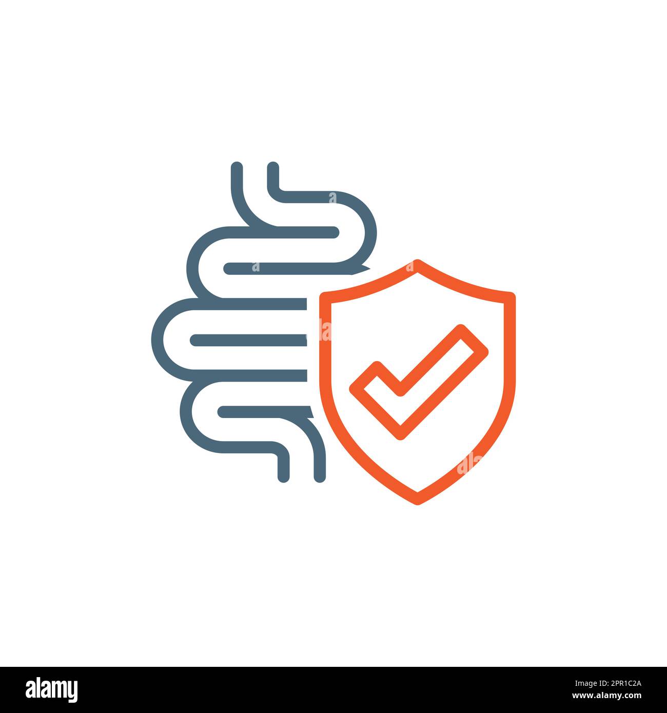 Bowels vector hi-res stock photography and images - Alamy