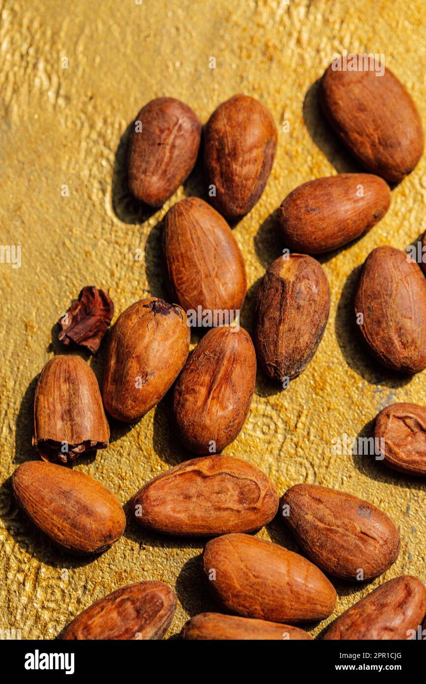 Mexican brown cacao, cocoa beans on golden background Stock Photo - Alamy