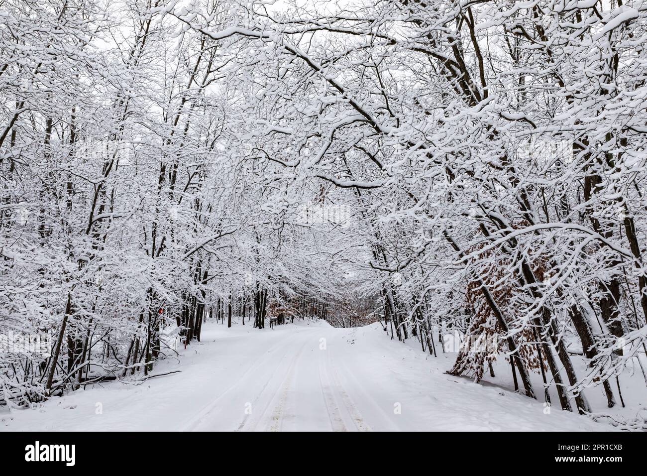 Country roads take home hi-res stock photography and images - Alamy