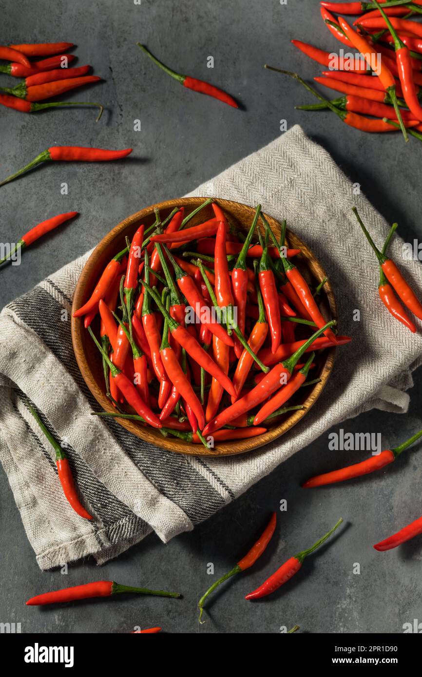 Spicy Organic Red Thai Birds Eye Chilli Peppers in a Bowl Stock Photo ...