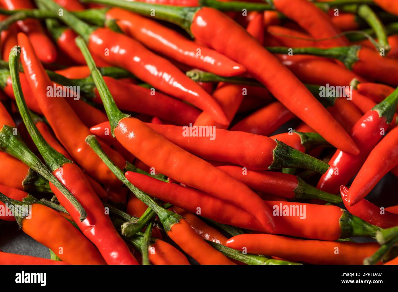Spicy Organic Red Thai Birds Eye Chilli Peppers in a Bowl Stock Photo ...