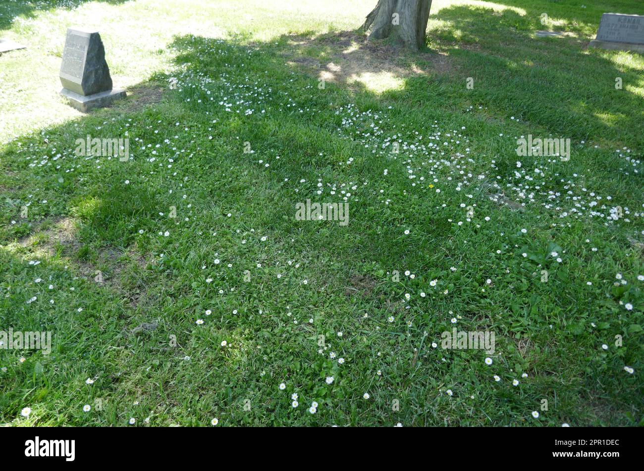 Charles manley hi-res stock photography and images - Alamy