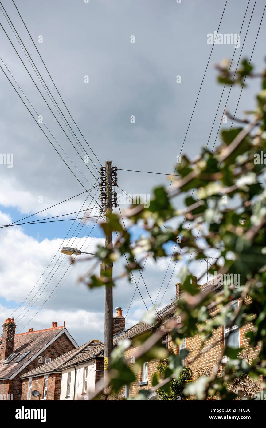 Trees and wires hi-res stock photography and images - Alamy