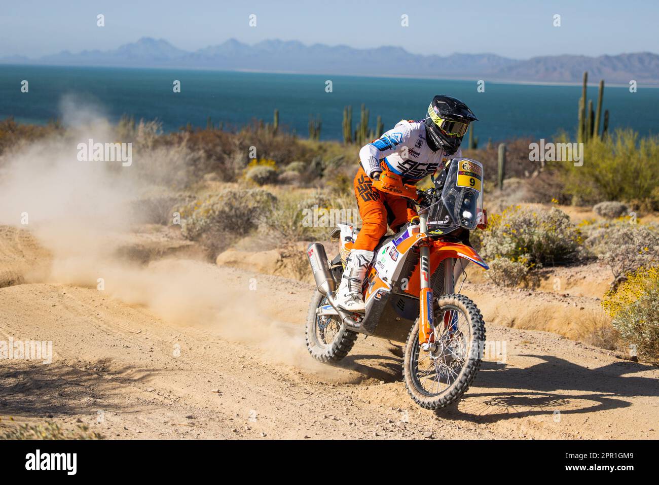 Penasco, Mexique. 25th Apr, 2023. 09 KLEIN Mason (usa), BAS World KTM Racing Team, KTM 450 Rally ...