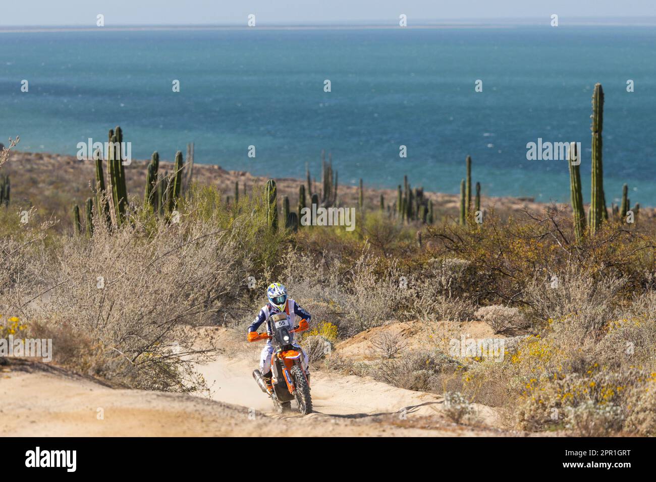 Penasco, Mexique. 25th Apr, 2023. 55 FITZGERALD Kerim (rsa), BAS World ...