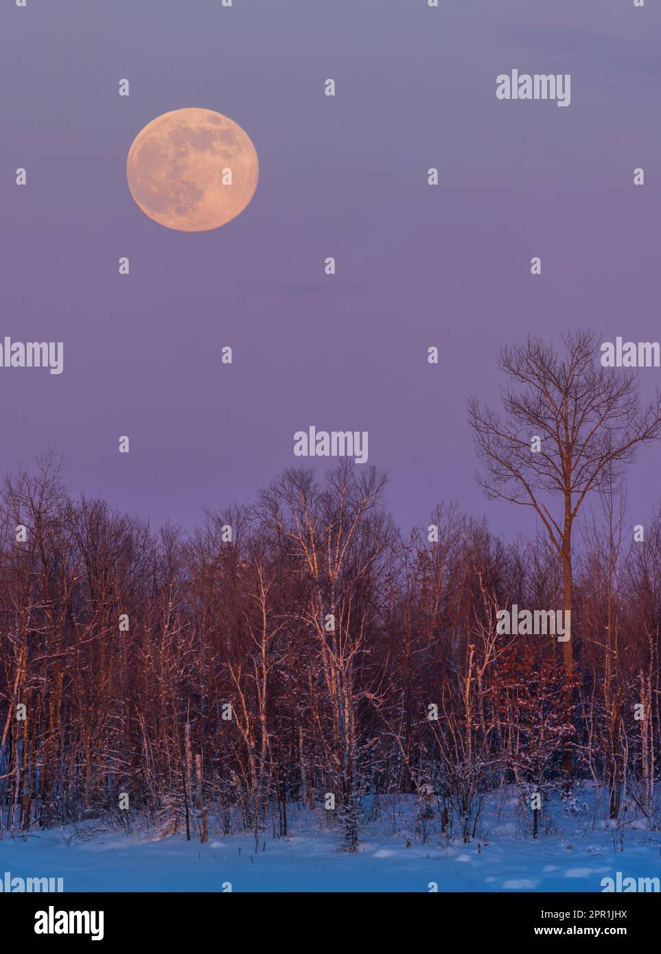 The wolf moon rising over a wilderness lake in northern Wisconsin Stock ...