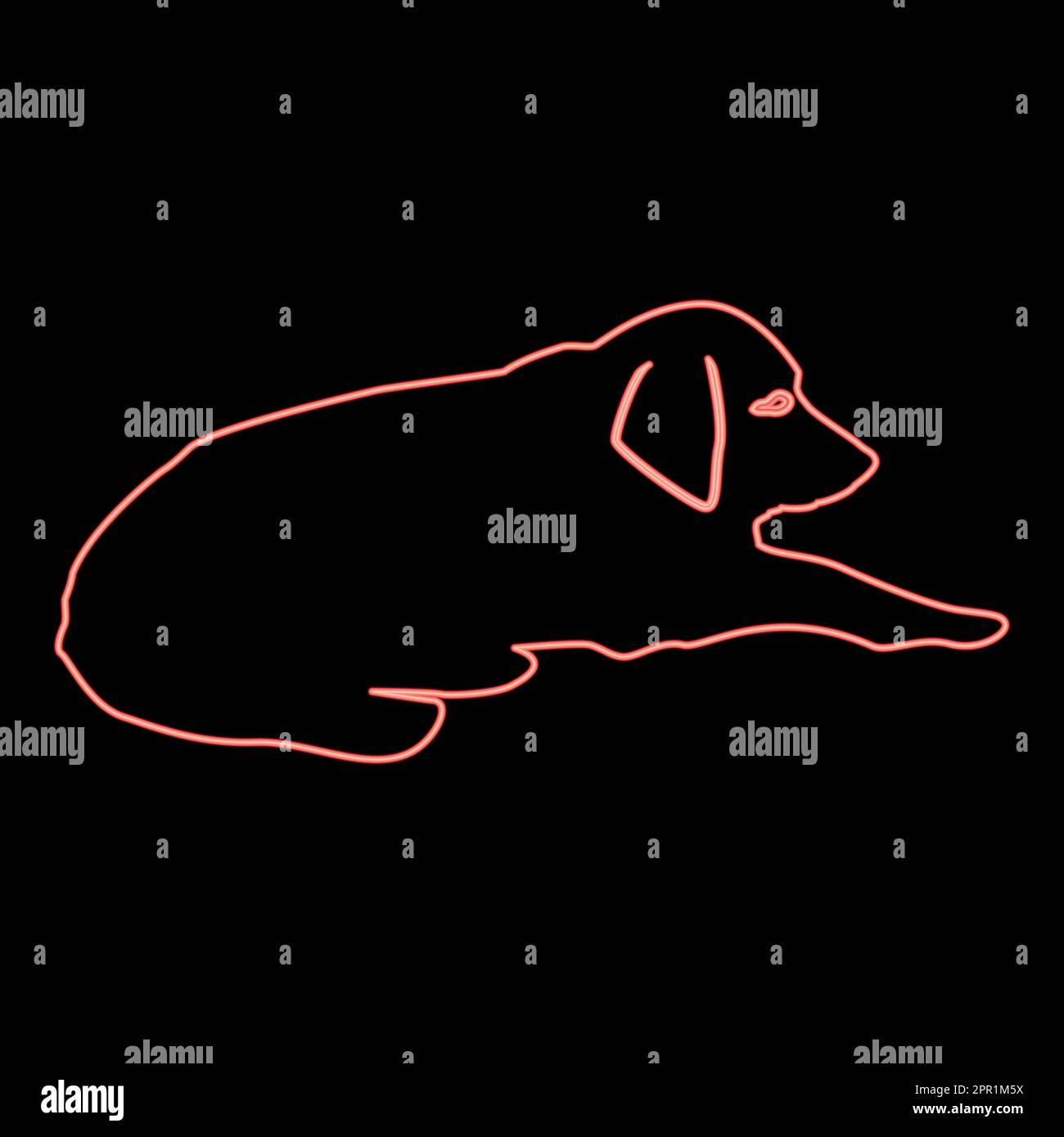 Neon dog lie on street pet lying on ground relaxed doggy icon red color ...