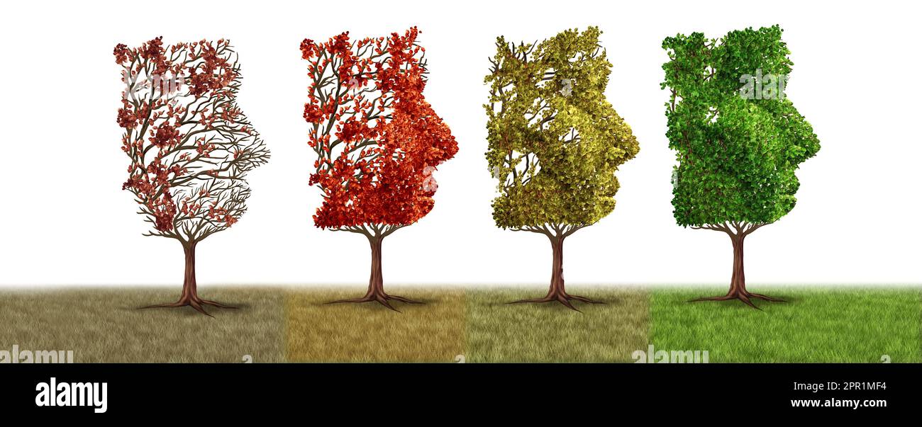 Seasonal allergies and season allergy as sinus infection health issues ...