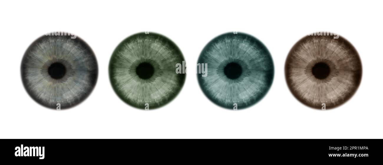 Set with different color eyes on white background. Banner design Stock ...