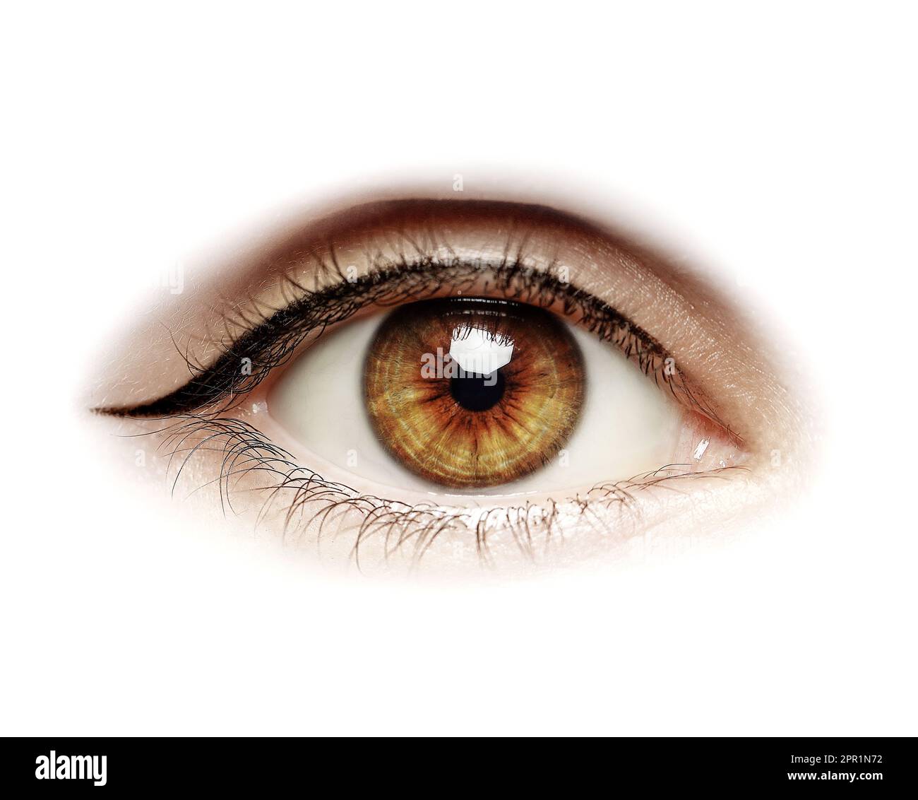 Beautiful human eye isolated on white, closeup Stock Photo - Alamy
