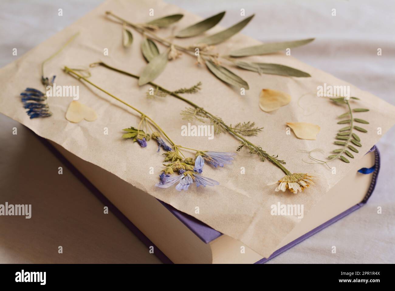 Sheet of paper with dried flowers and leaves on white fabric, closeup ...