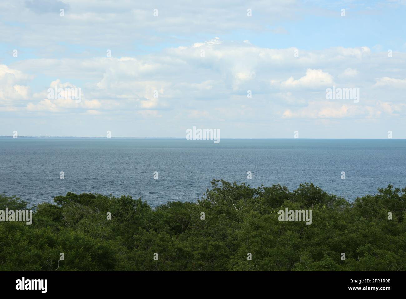 Green trees by the sea hi-res stock photography and images - Alamy