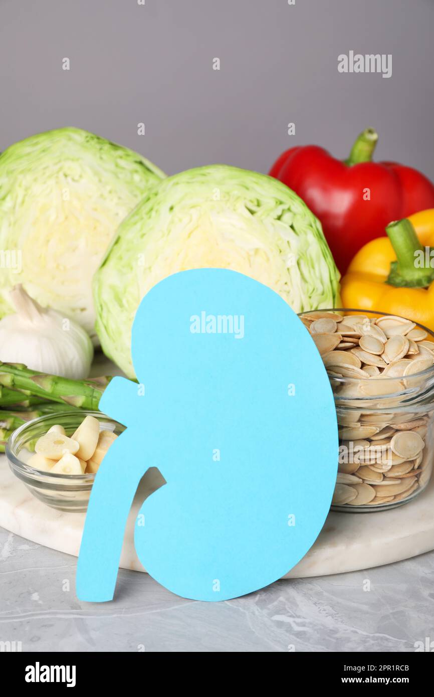Paper cutout of kidney and different products on light marble table ...