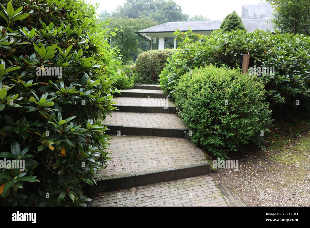 Lovely garden with green shrubbery and paved stairs. Landscape design ...
