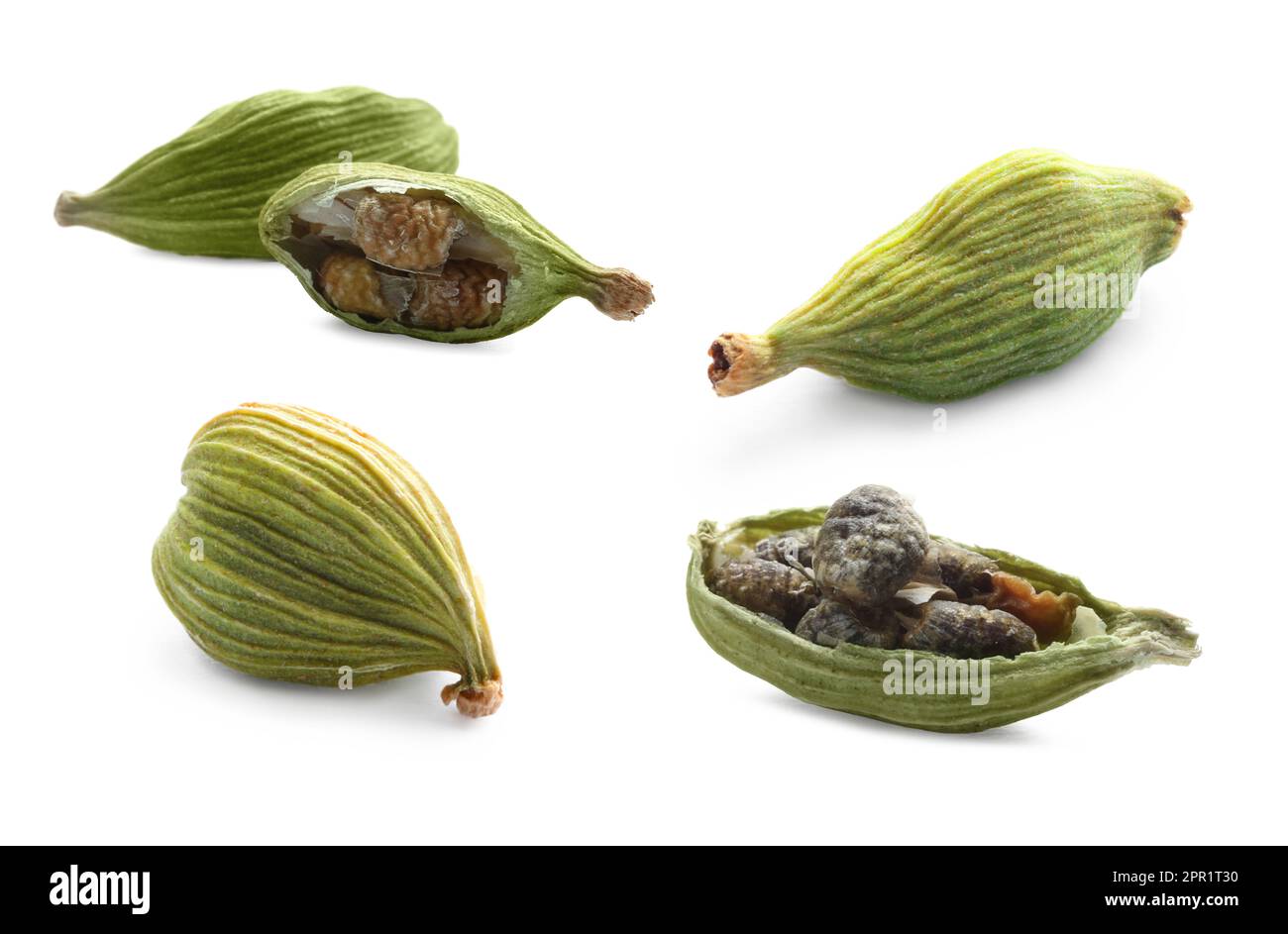 Set with dry cardamom pods on white background Stock Photo - Alamy