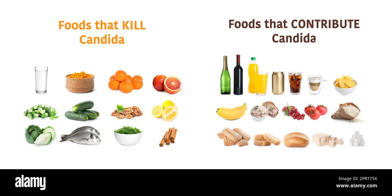 List of foods that kill and contribute Candida on white background ...