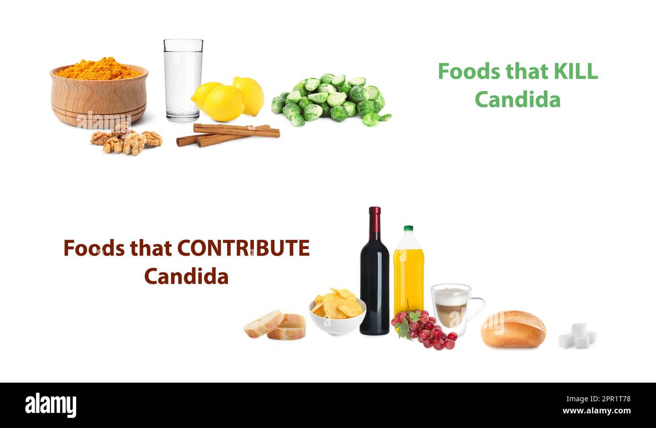 List of foods that kill and contribute Candida on white background ...