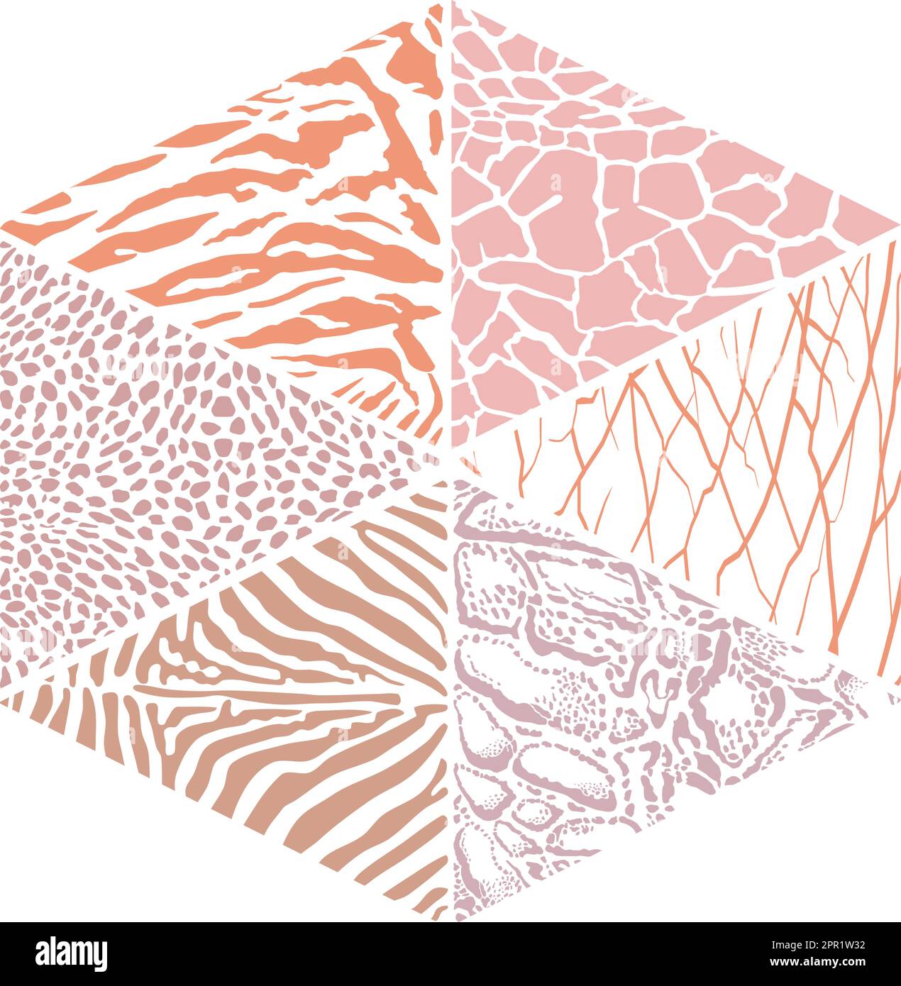 Color wild animal background Stock Vector Image & Art - Alamy