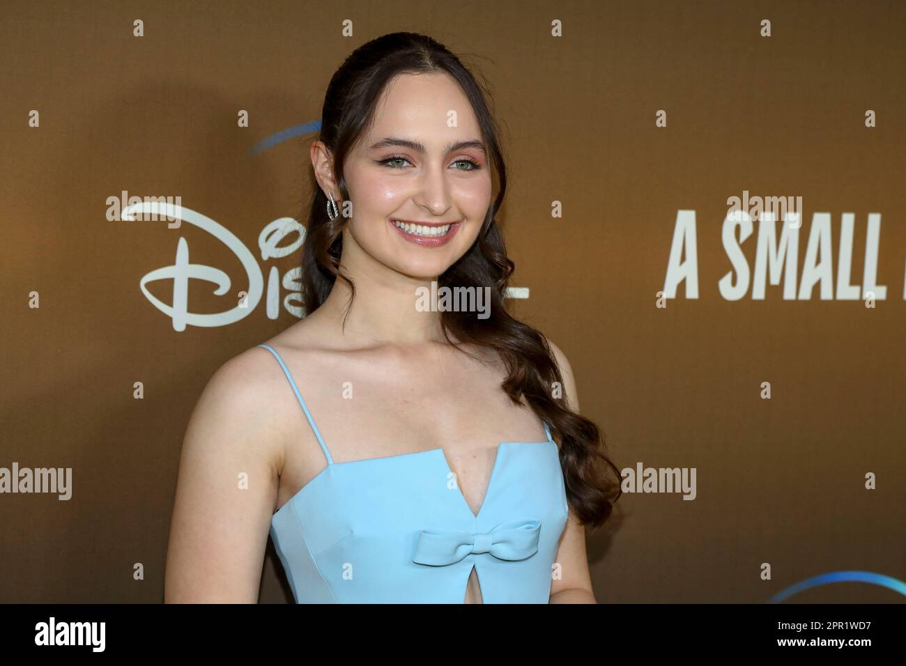 Actor Ashley Brooke attends the premiere of the National Geographic ...