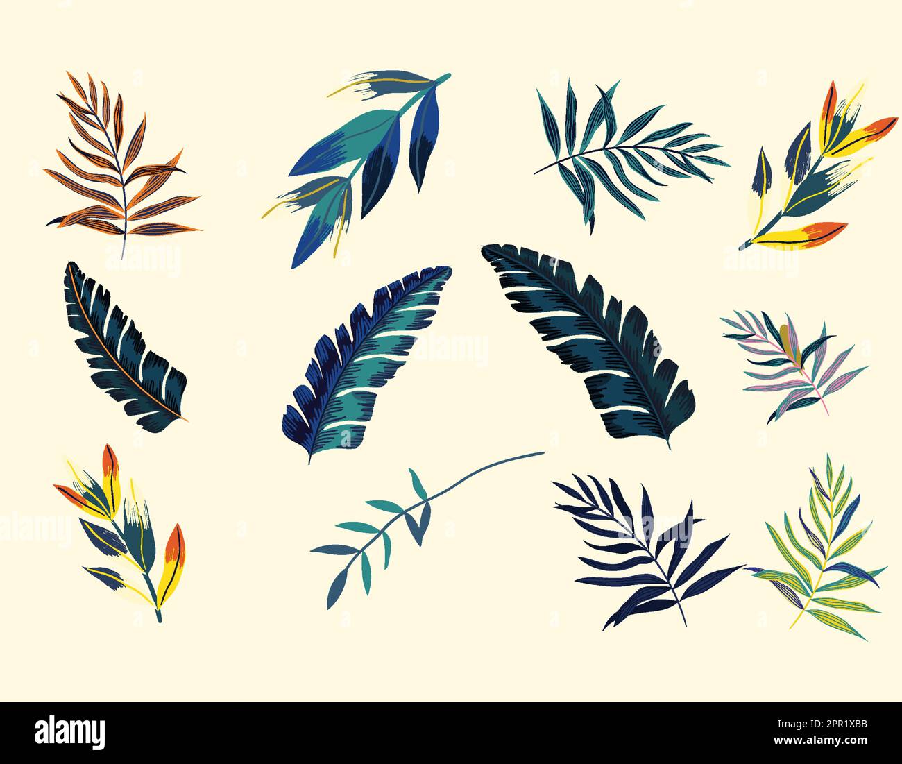 Hand drawn forest leaves Stock Vector Images - Alamy
