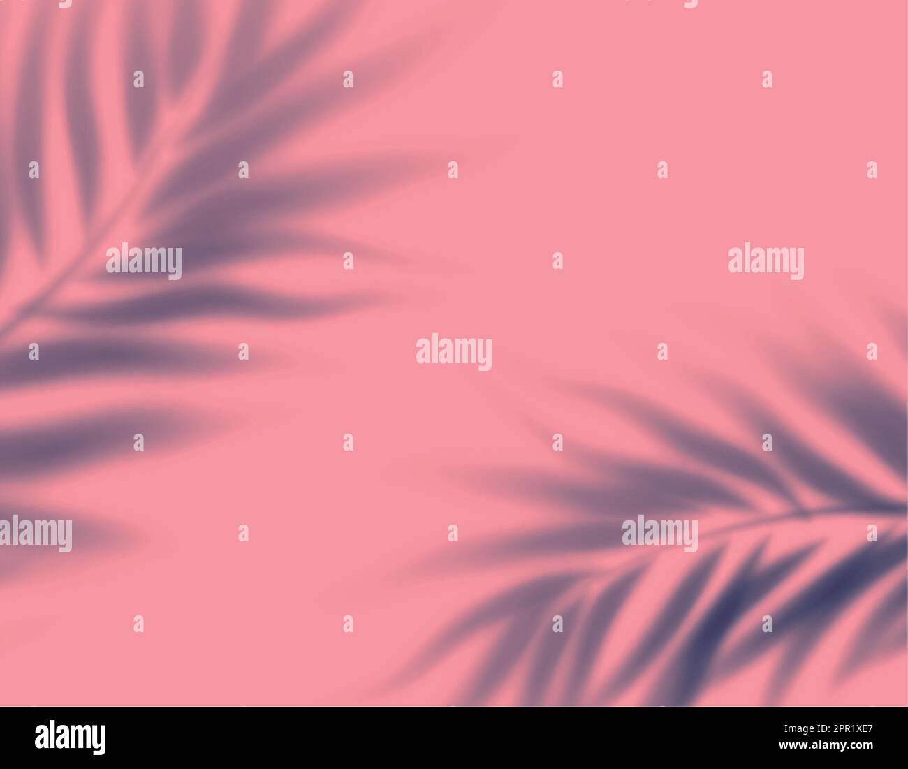 realistic transparent shadow from leaf palm tree pink background Stock ...