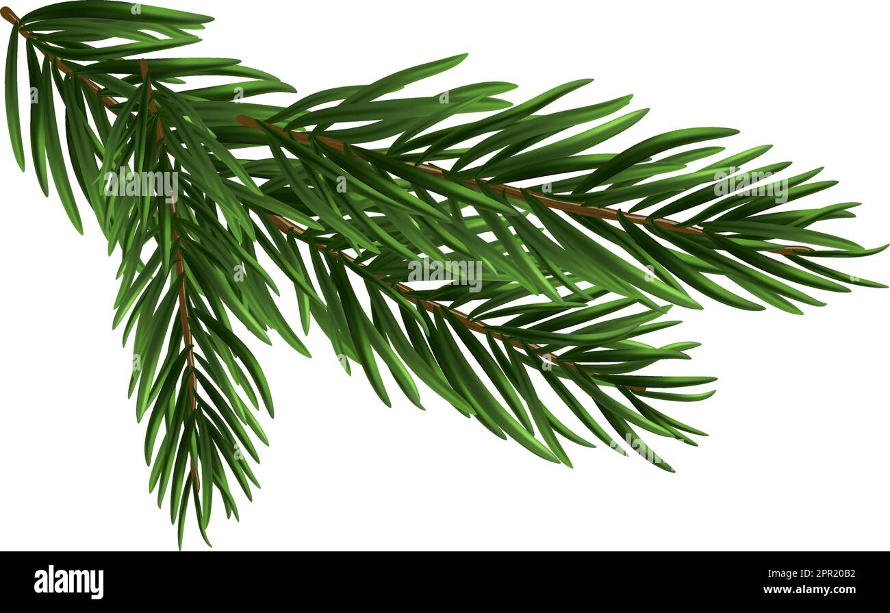Christmas Tree Branch Stock Vector Image & Art - Alamy