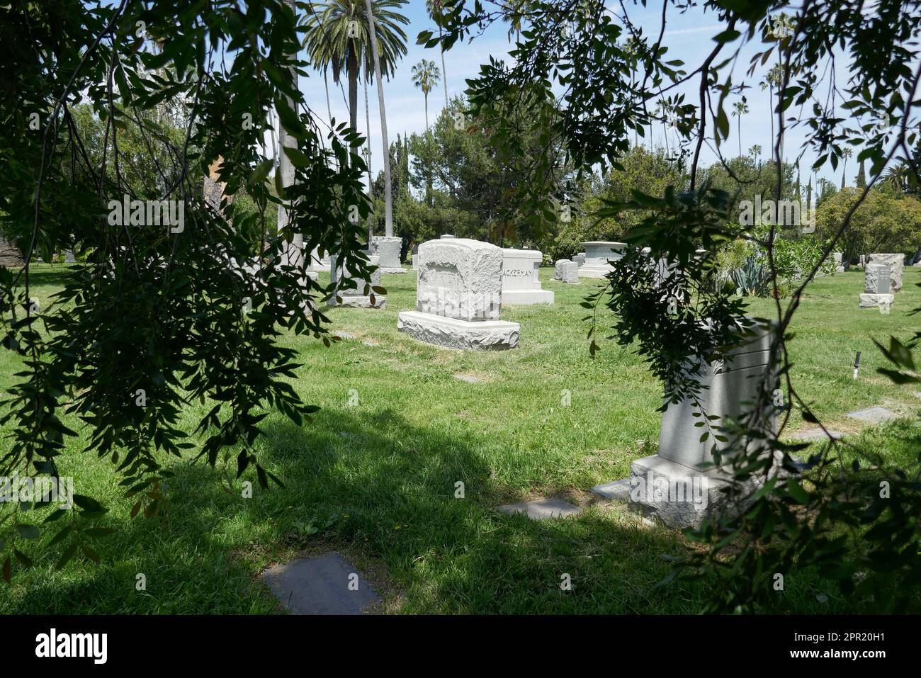 Chandler gardens hi-res stock photography and images - Alamy