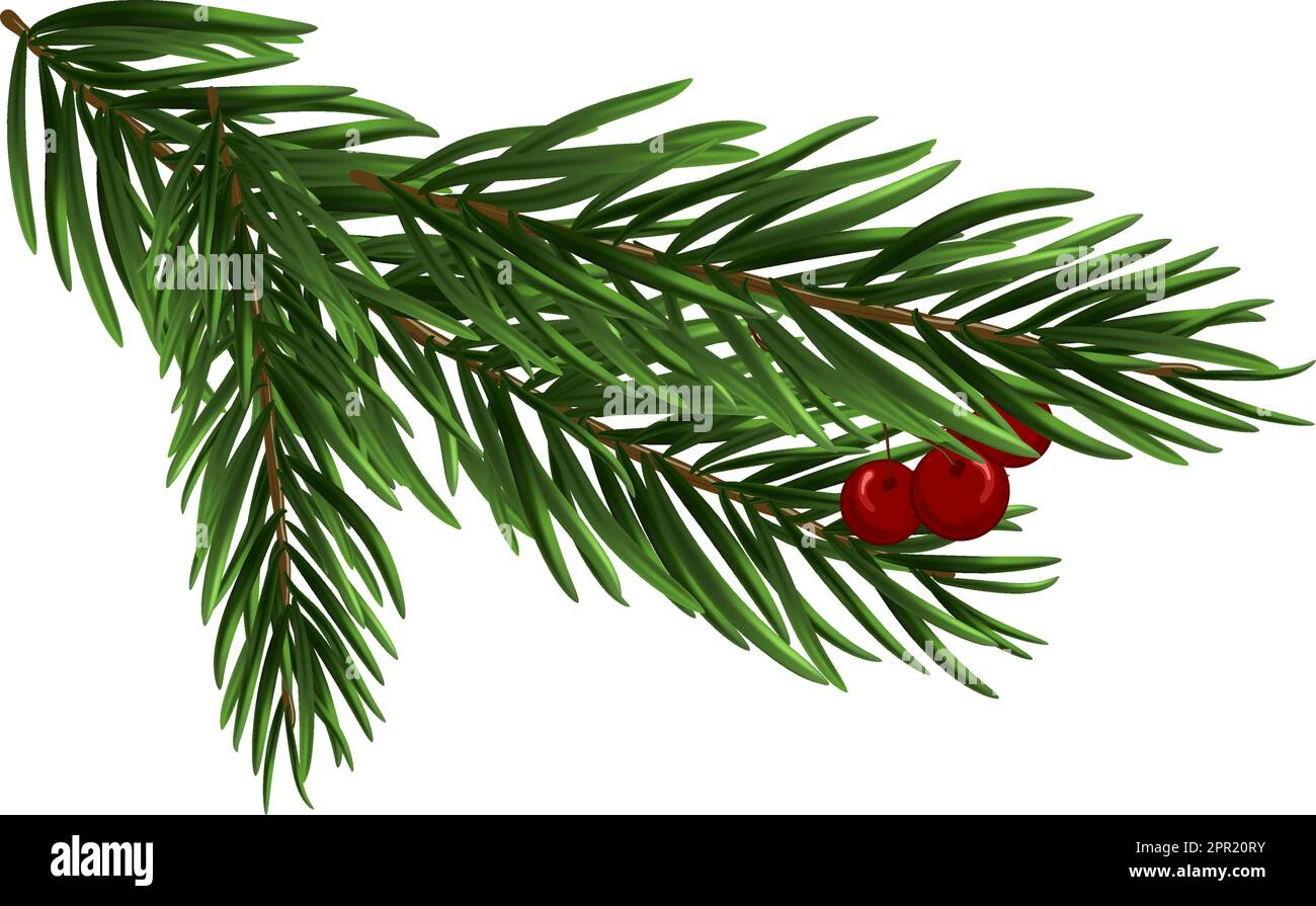 Christmas Tree Branch Stock Vector Image & Art - Alamy