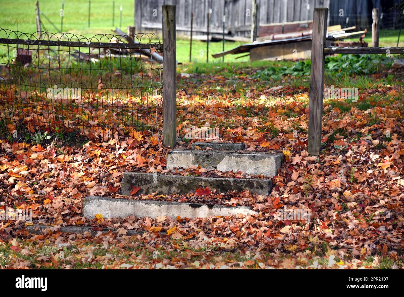 Steps lead through opening in old fence. Fall leaves cover ground and ...