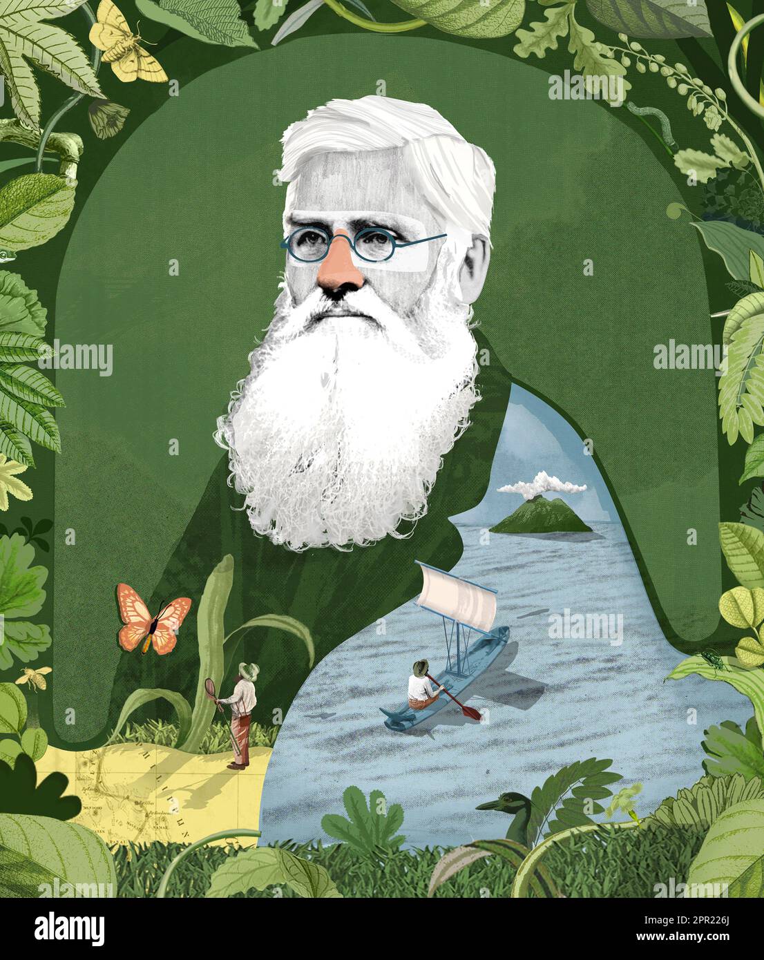 Alfred Russel Wallace, illustration Stock Photo - Alamy