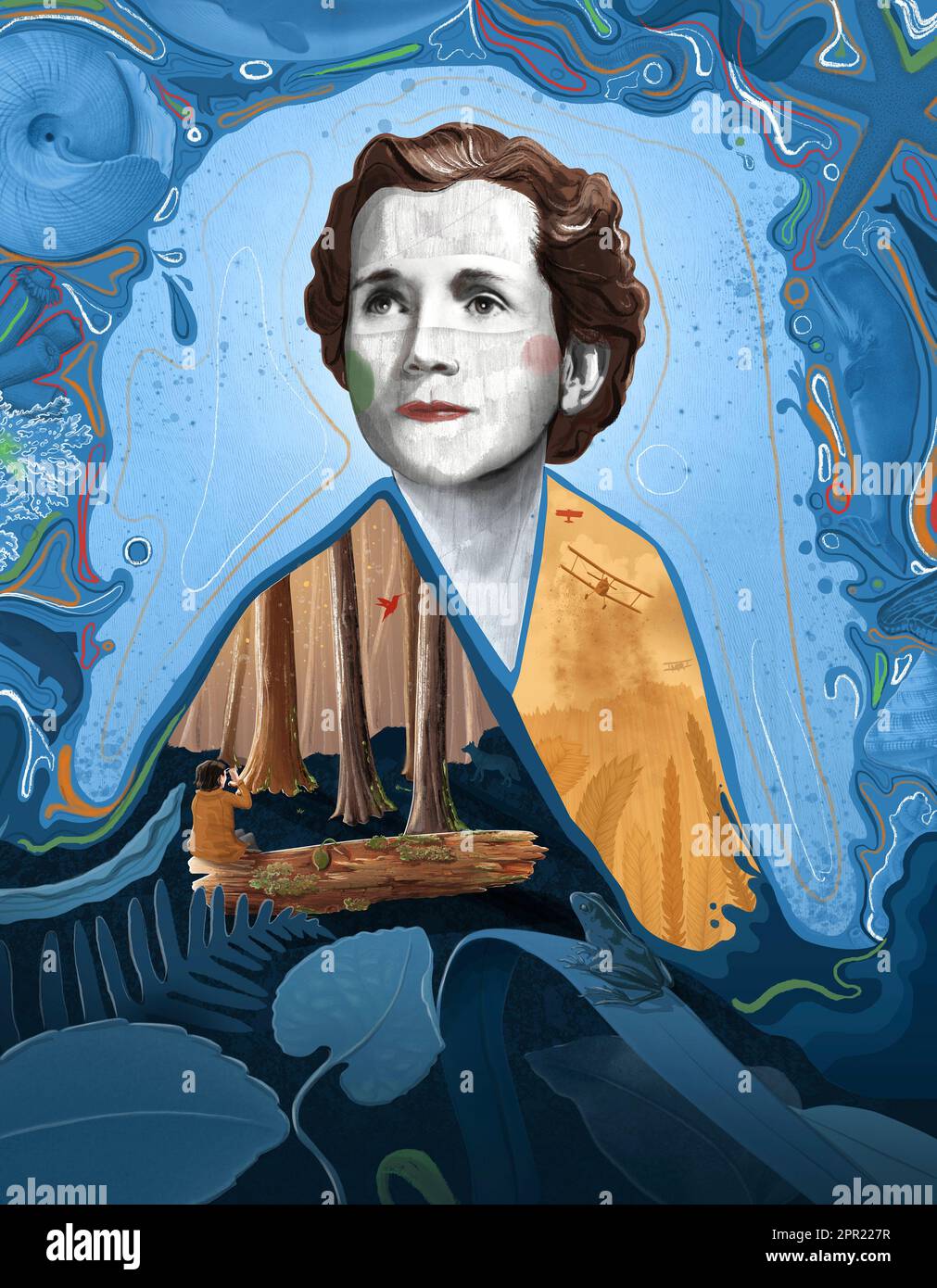 Rachel Carson, illustration Stock Photo - Alamy