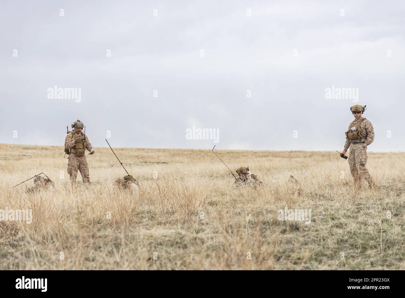 U.S. Marine Corps Joint Terminal Attack Controllers and a Joint Fires ...