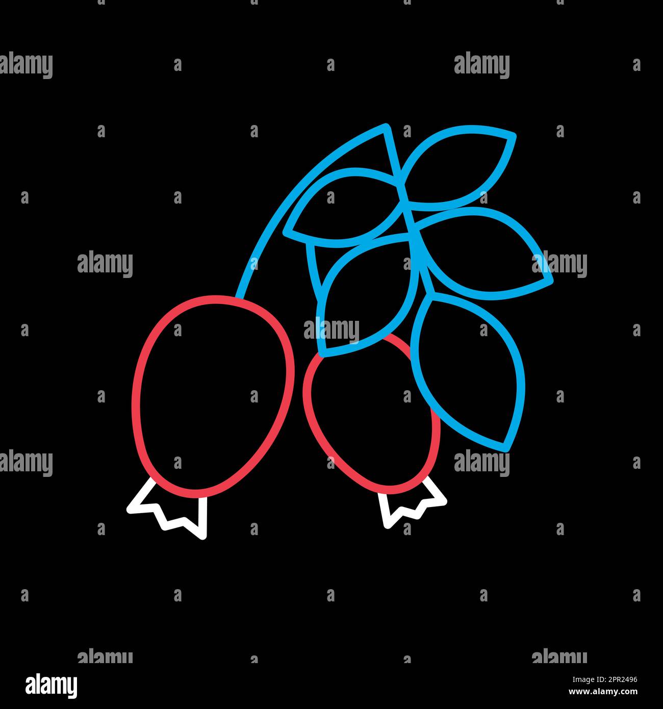 Rose hip berries and leaves vector icon Stock Vector Image & Art - Alamy