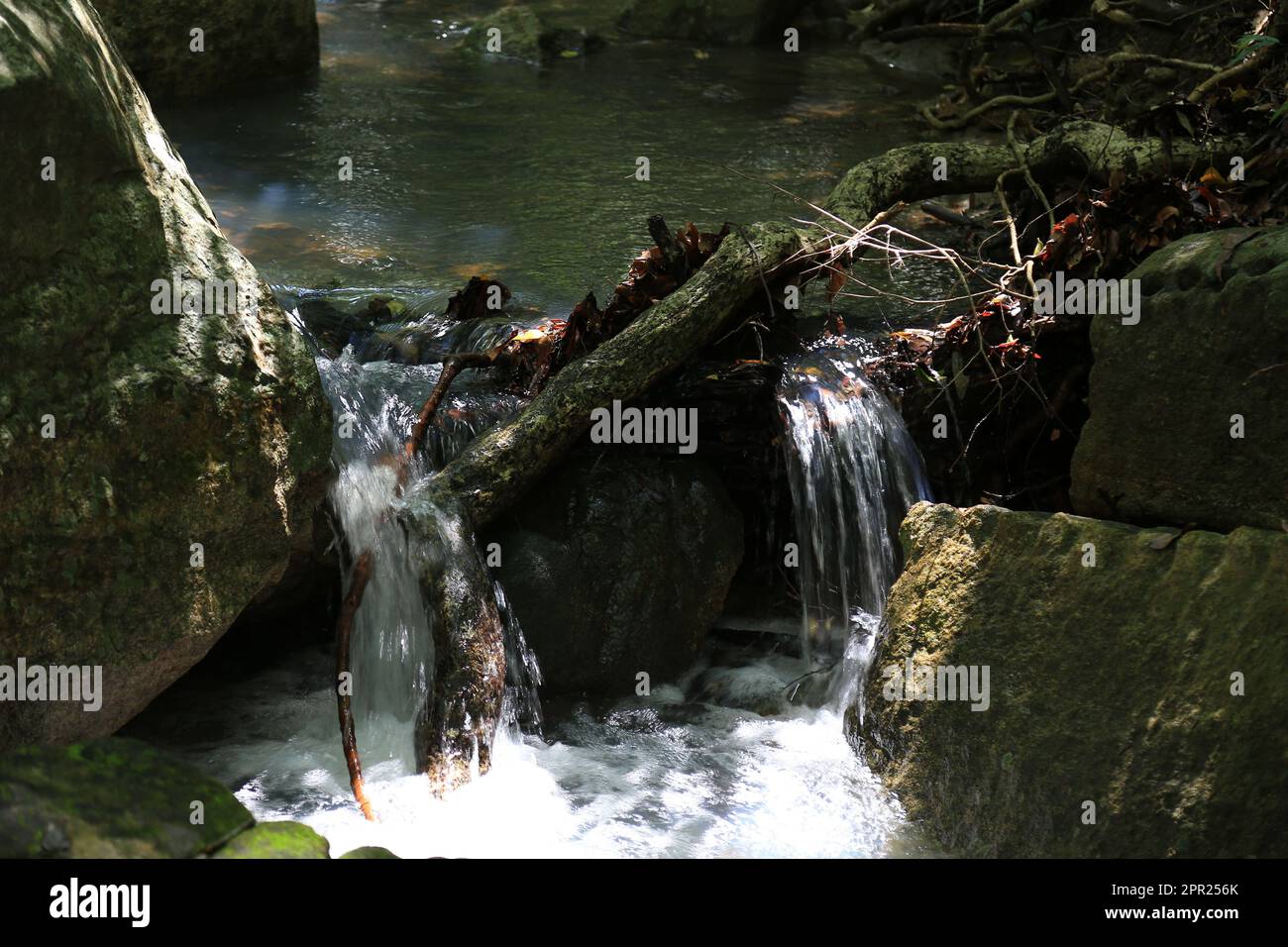 Water stream flowing among rocks Stock Photo - Alamy