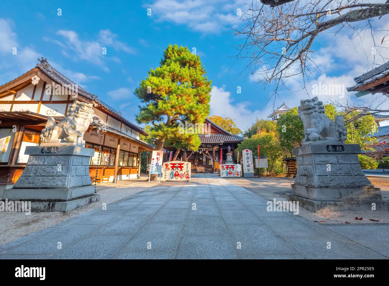Nakatsu, Japan - Nov 26 2022: Nakatsu Daijingu Grand Shrine and shrines ...