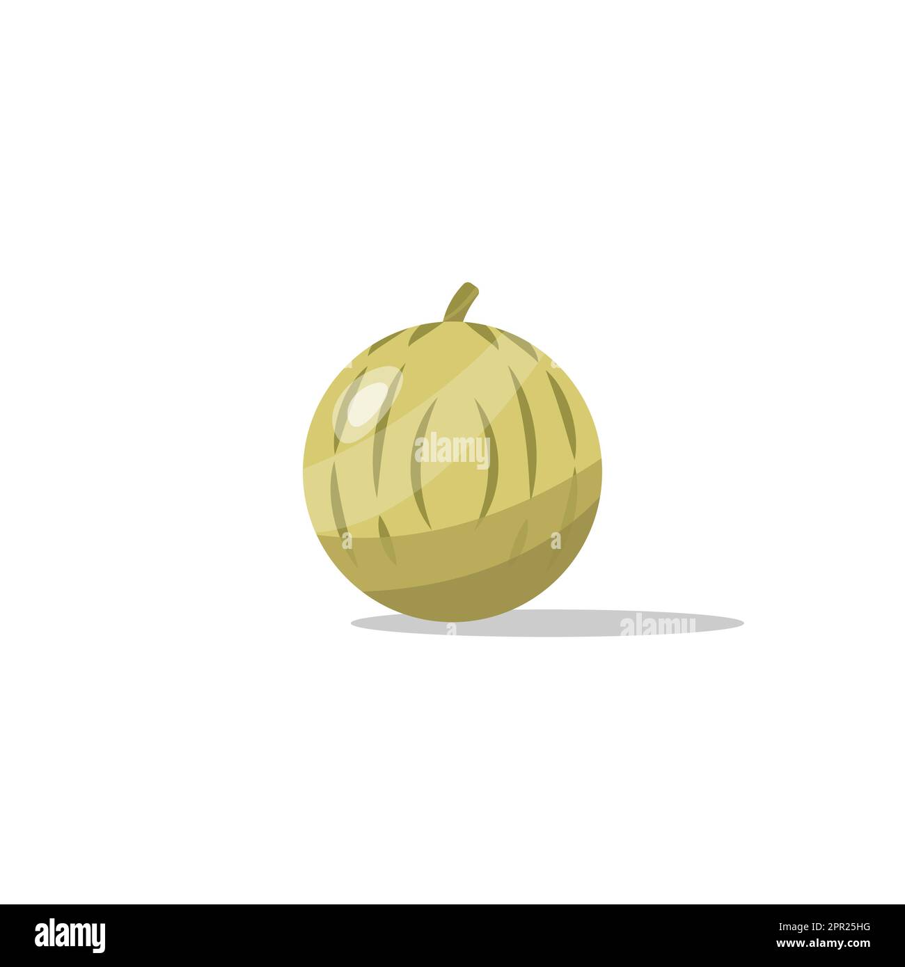 cantaloupe cartoon fruit Stock Vector Image & Art - Alamy