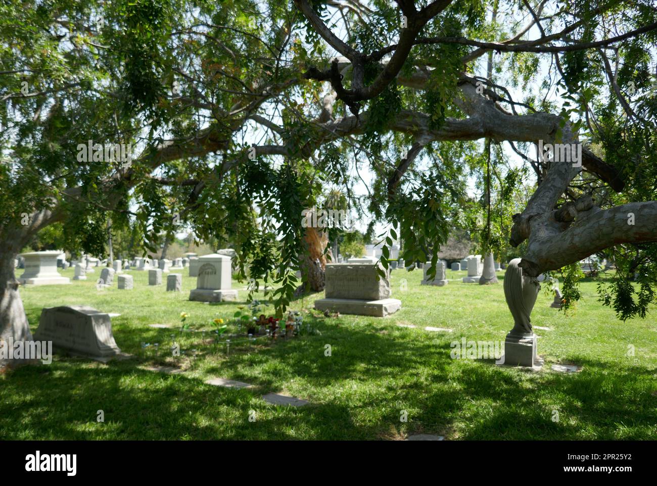 Ovid teodorescu hi-res stock photography and images - Alamy