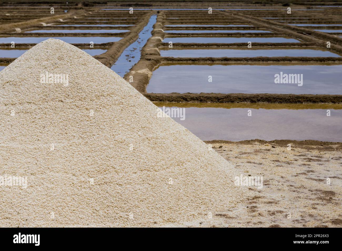 Harvesting salt from drying sea water brine in pits using sunlight ...