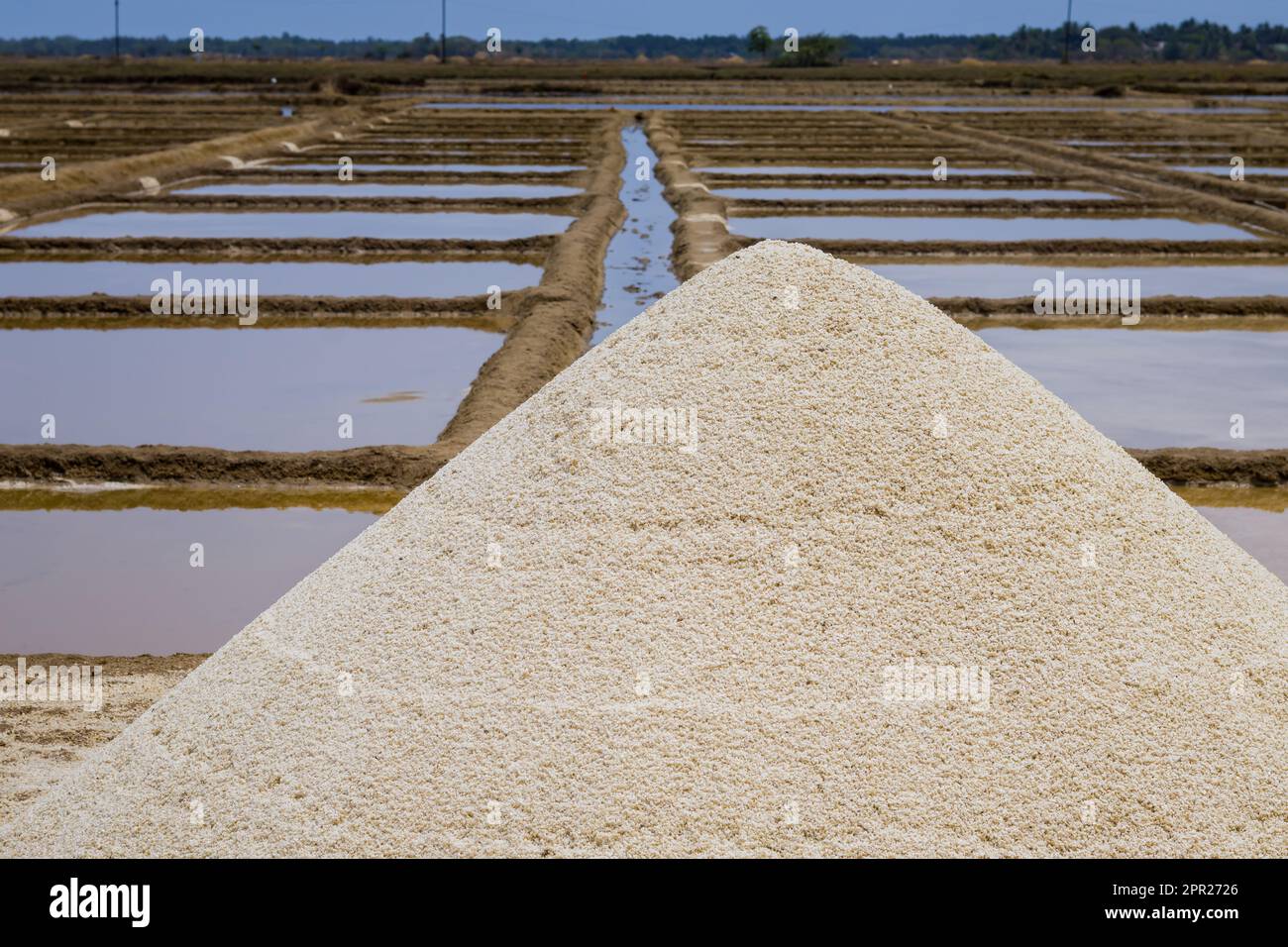 Harvesting salt from drying sea water brine in pits using sunlight ...