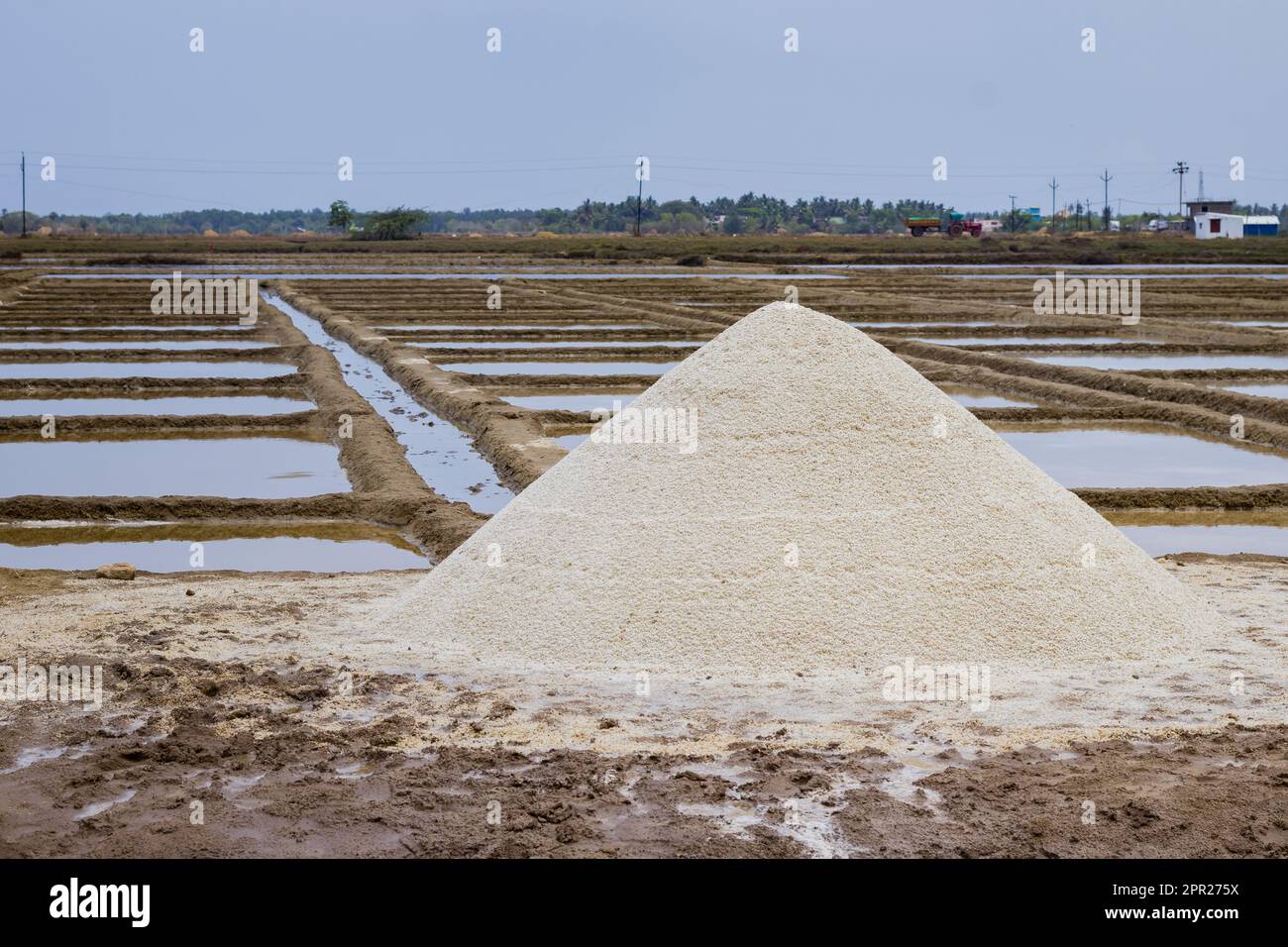 Harvesting salt from drying sea water brine in pits using sunlight ...