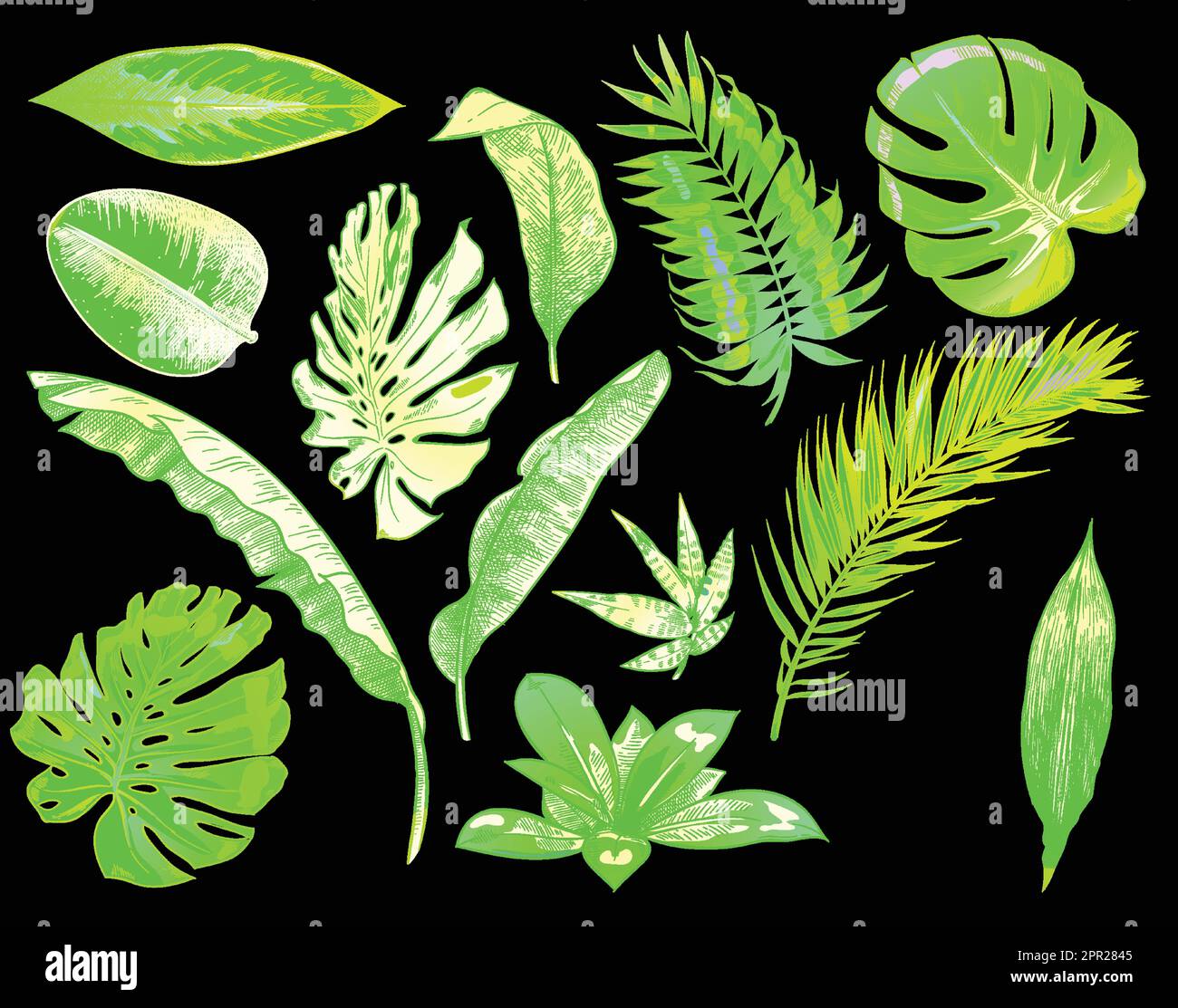 Forest yellow autumn neon Stock Vector Images - Alamy