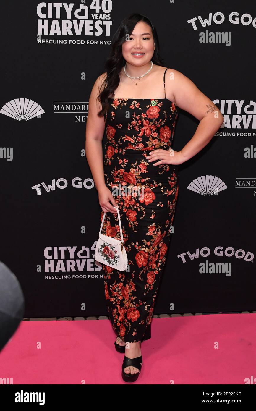 New York, USA. 25th Apr, 2023. Dara Yu attends the "City Harvest 40th ...