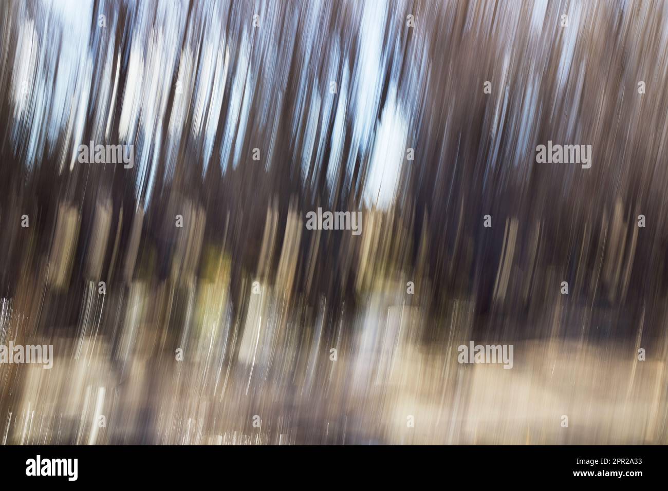 Abstract photograph of forest hi-res stock photography and images - Alamy
