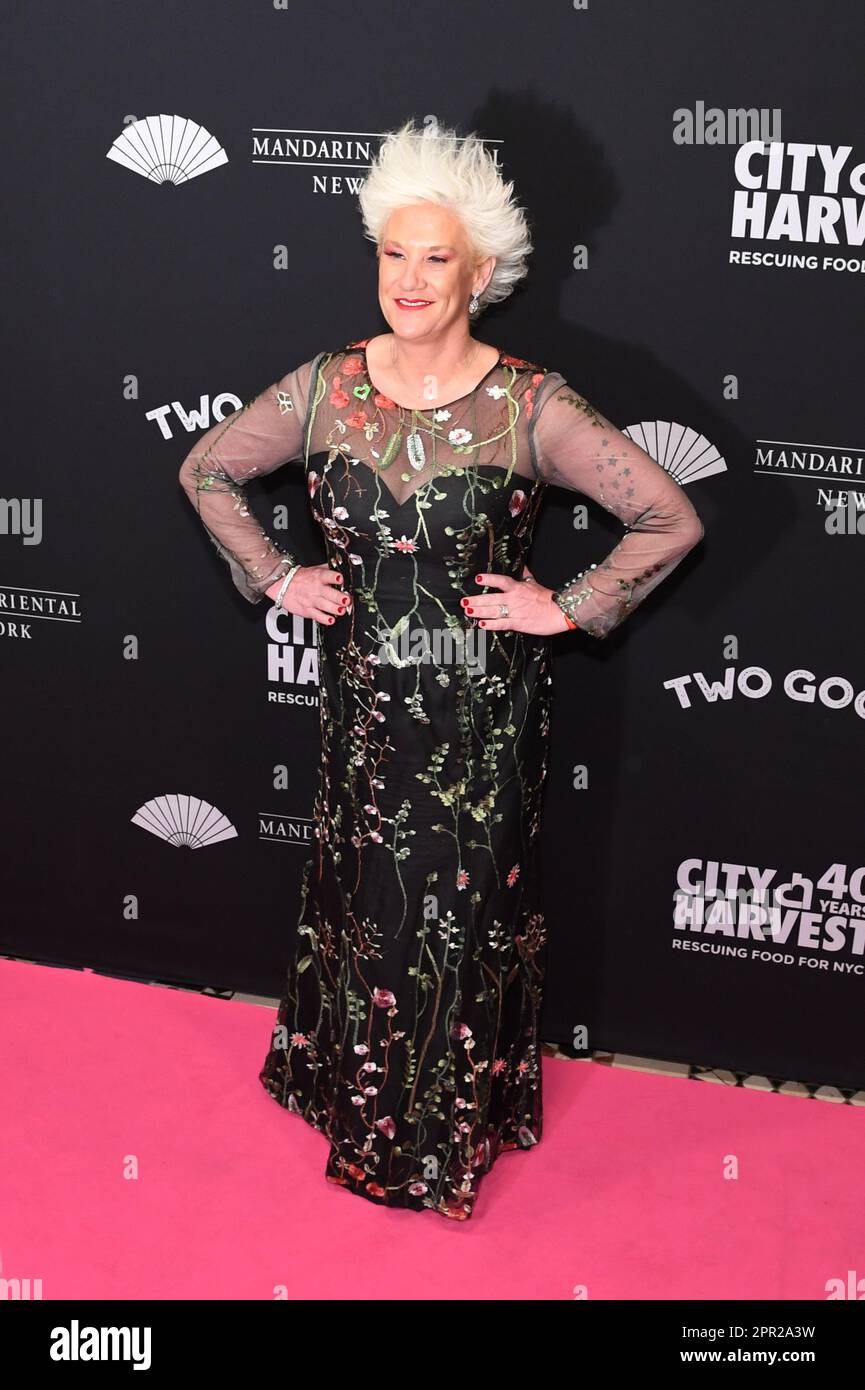 New York, USA. 25th Apr, 2023. Anne Burrell attends the "City Harvest ...