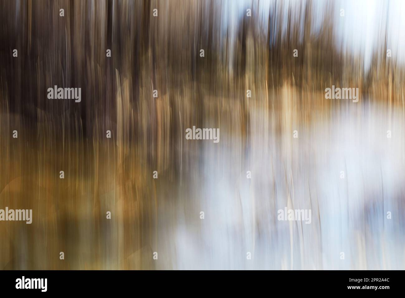 Abstract photograph of forest hi-res stock photography and images - Alamy