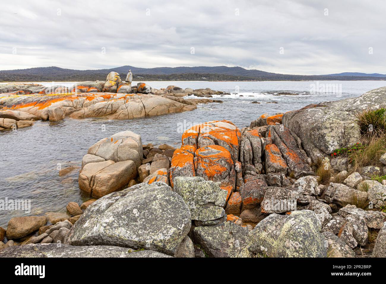 Binalong Bay, Tasmania, Australia Stock Photo - Alamy