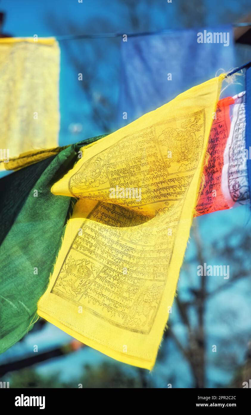 Yellow Buddhist prayer flags fluttering in the wind, Kathmandu, Nepal ...