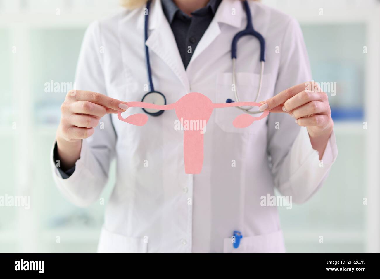 Gynecologist holds uterus ovaries hi-res stock photography and images ...