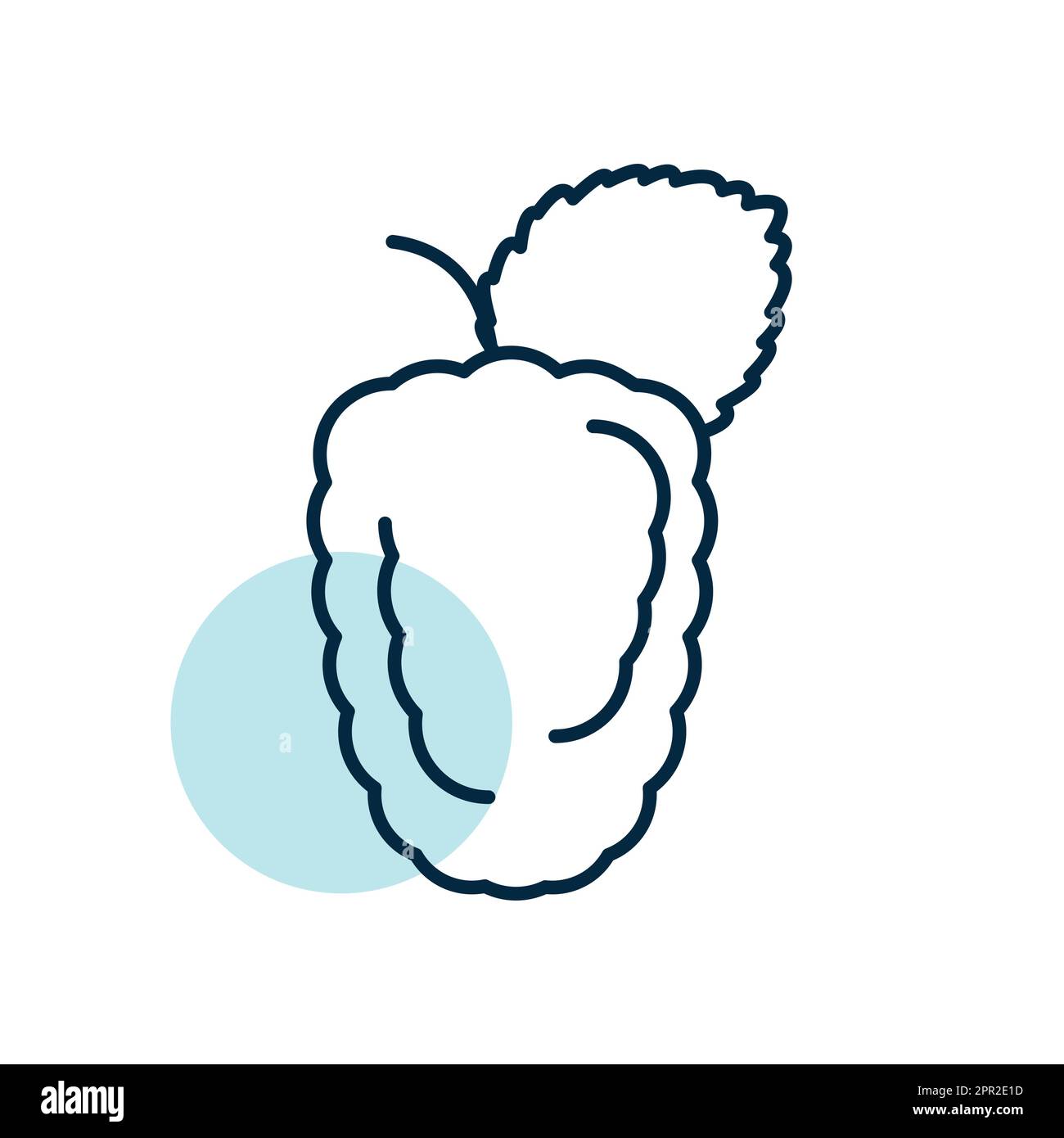 Mulberry leaves Stock Vector Images - Alamy