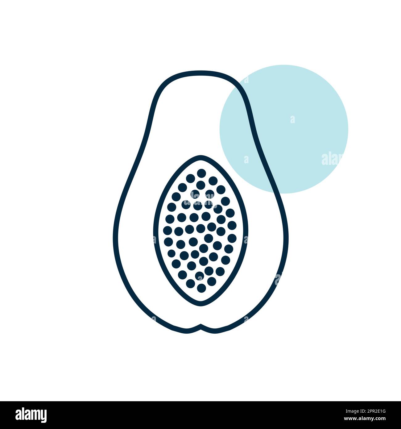 Papaya tropical fruit isolated design vector icon Stock Vector Image ...